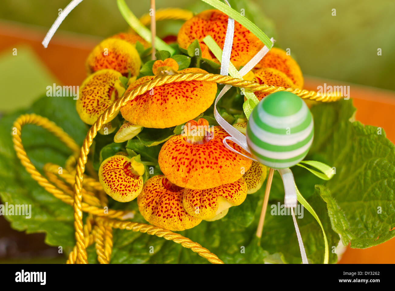 Zlaty dest hi-res stock photography and images - Alamy