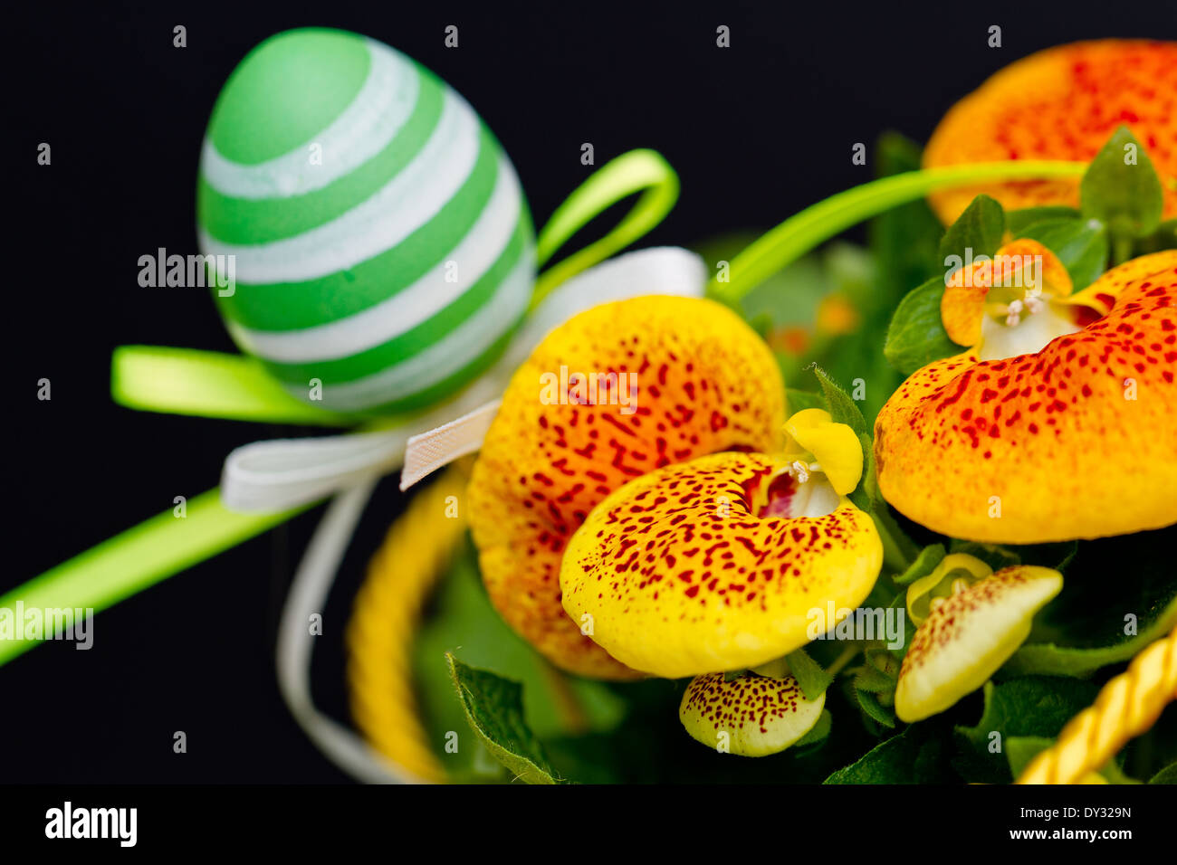 Zlaty dest hi-res stock photography and images - Alamy