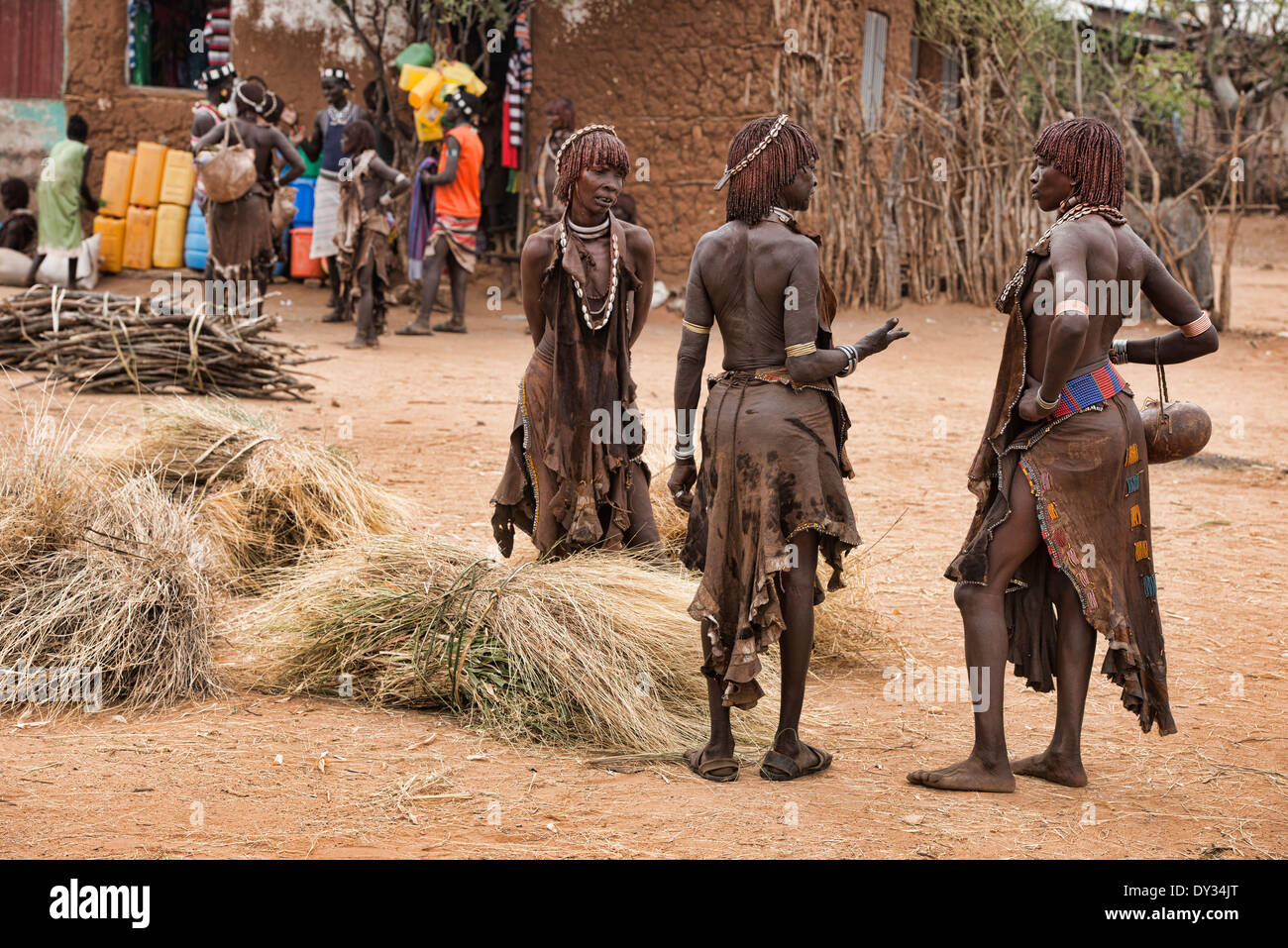 Hamer women in the weekly market in Dimeka in the Omo Valley, Ethiopia ...