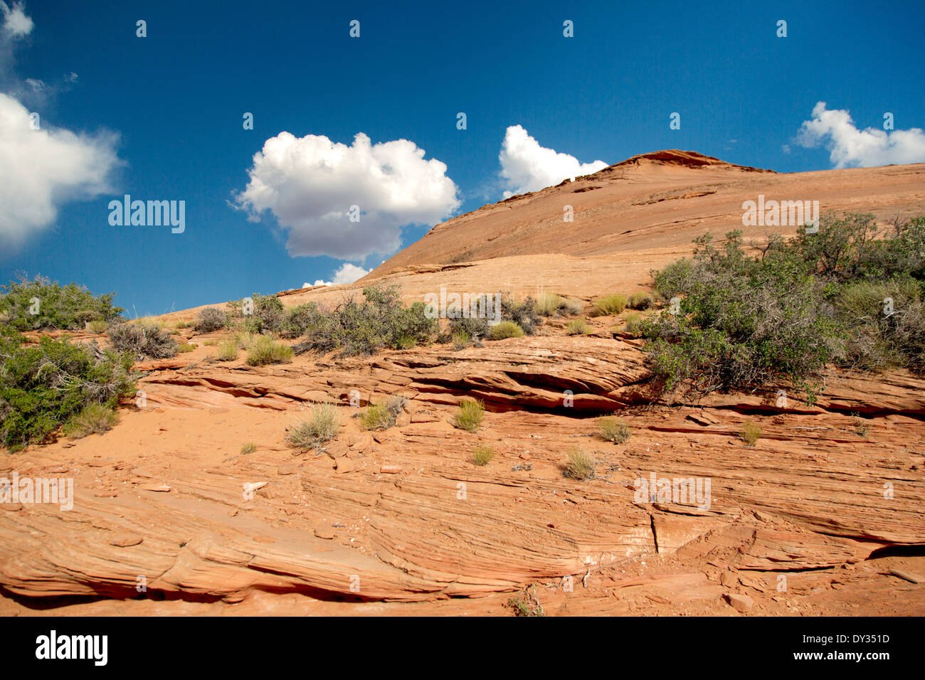 Beautiful hill country hi-res stock photography and images - Alamy