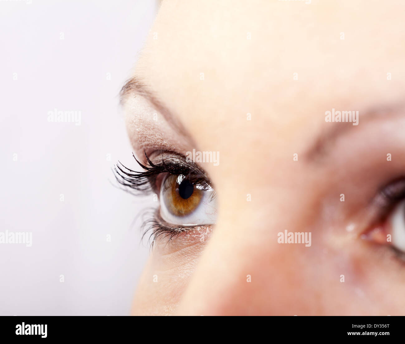 Macro shot of, side view of a young woman with open eyes Stock Photo ...