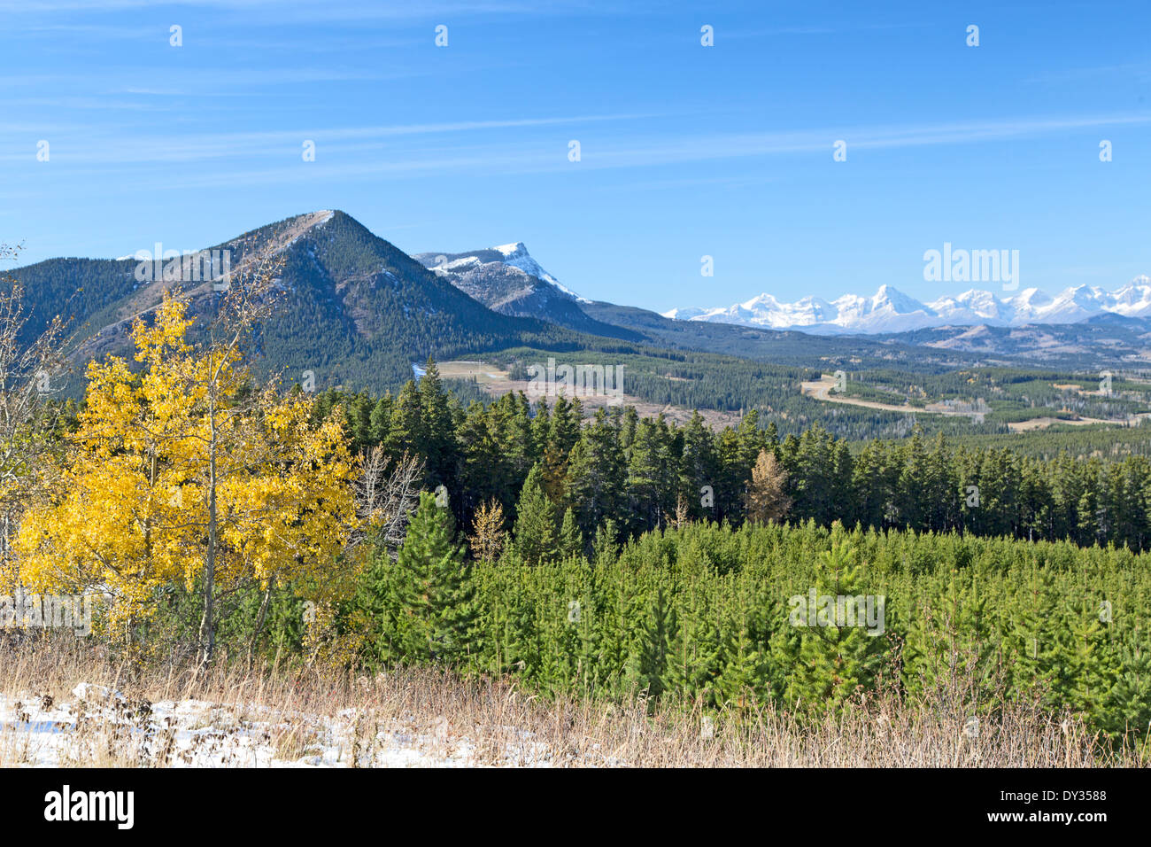 A fall view of Mountains in southern Alberta, Canada Stock Photo - Alamy