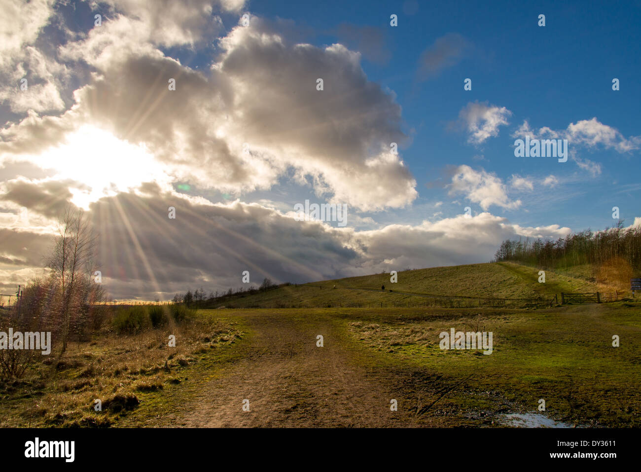 Bright Early Spring Sun Beams Stock Photo - Alamy