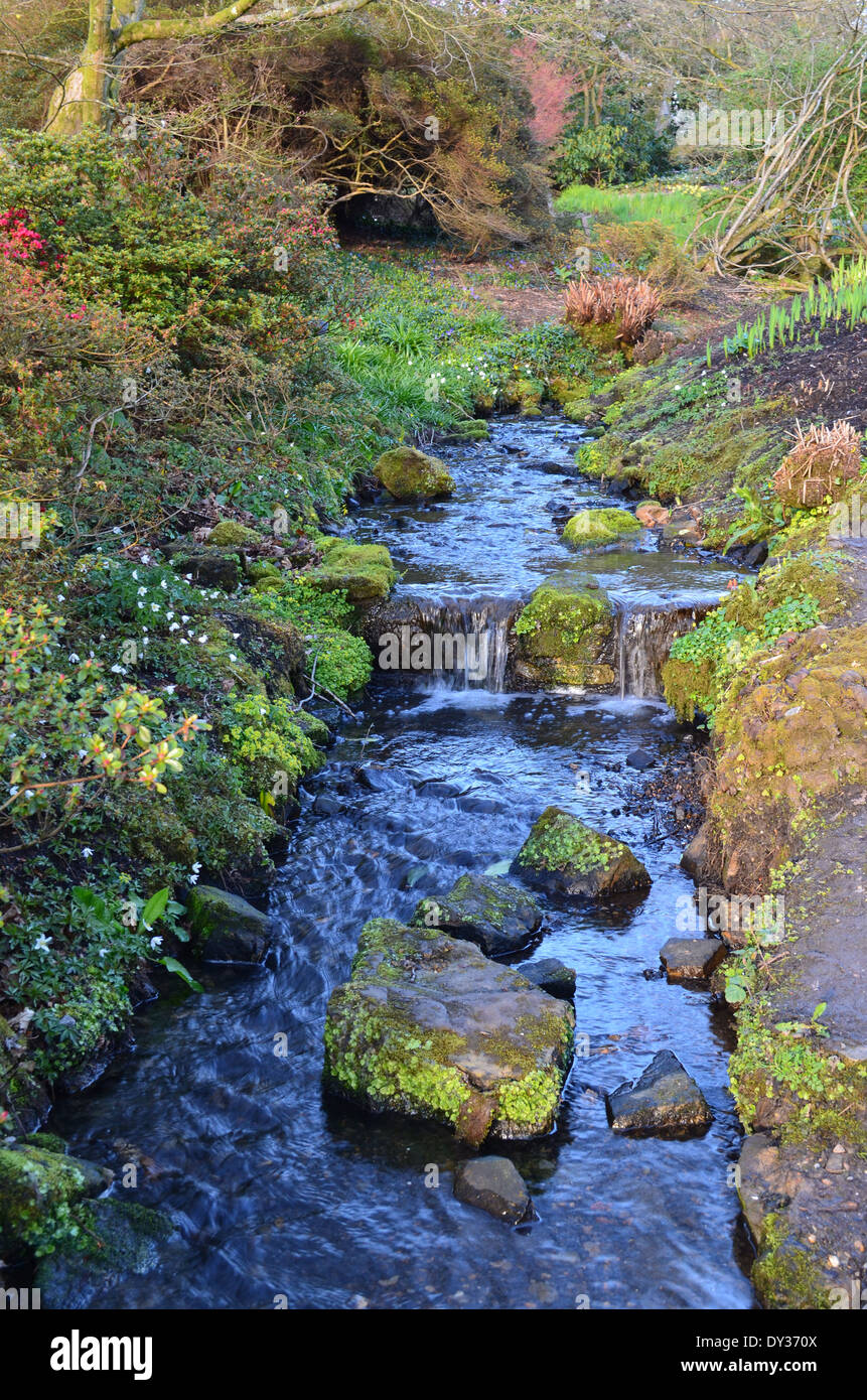 Beautiful stream running through Sussex countryside in Spring Stock ...