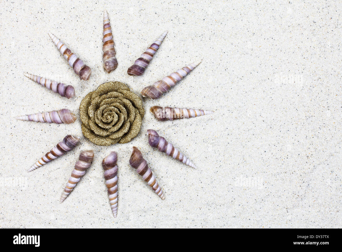 Deco rose with shells, sand background Stock Photo - Alamy