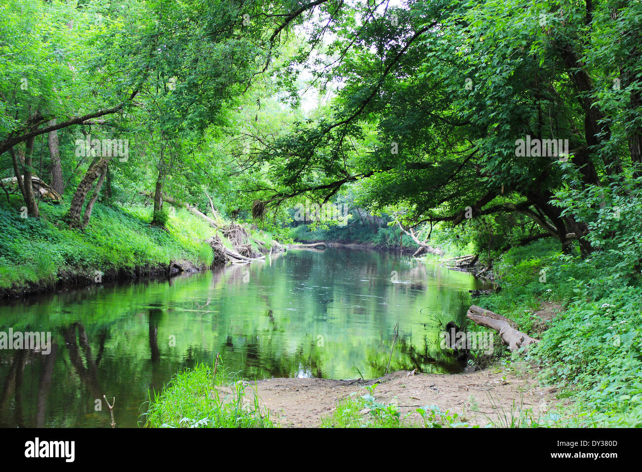 Densely covered hi-res stock photography and images - Alamy