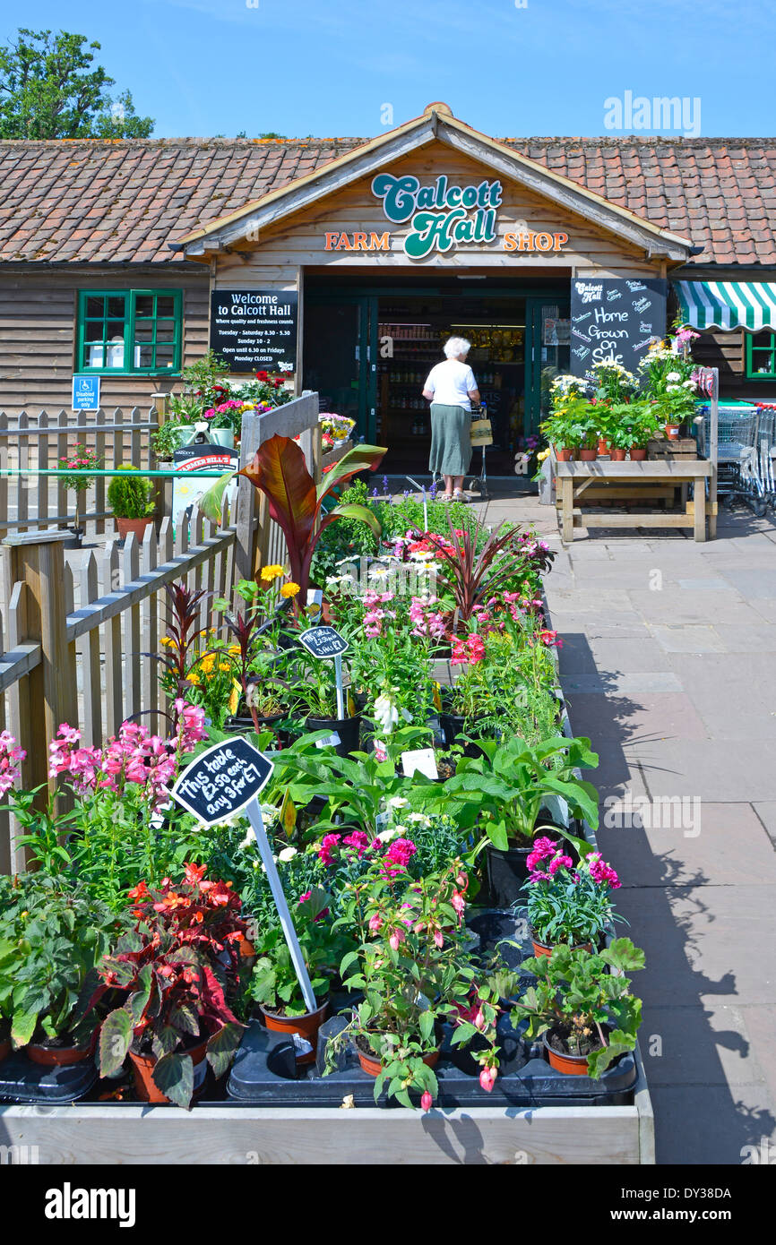Garden plants for sale outside Calcott Hall Farm Shop with customer ...