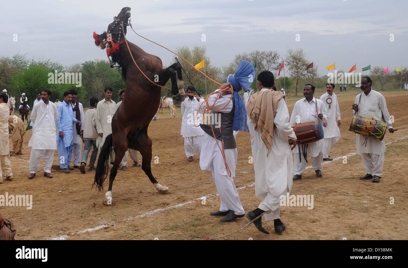 PAKISTAN, Islamabad-April 05:A Pakistani horse dances prior to take ...