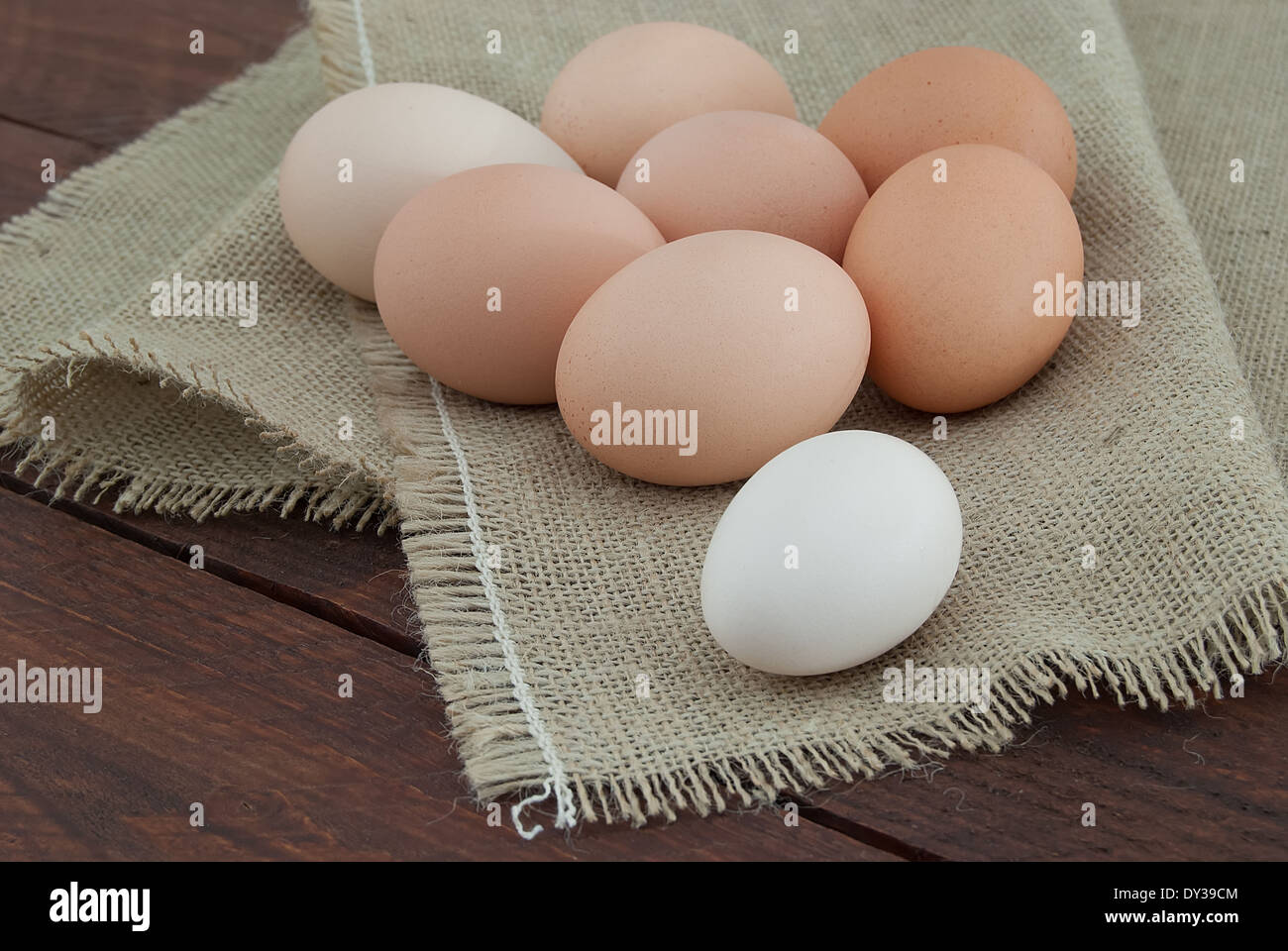 eight eggs of hen on brown burlap recently removed from the nest Stock ...