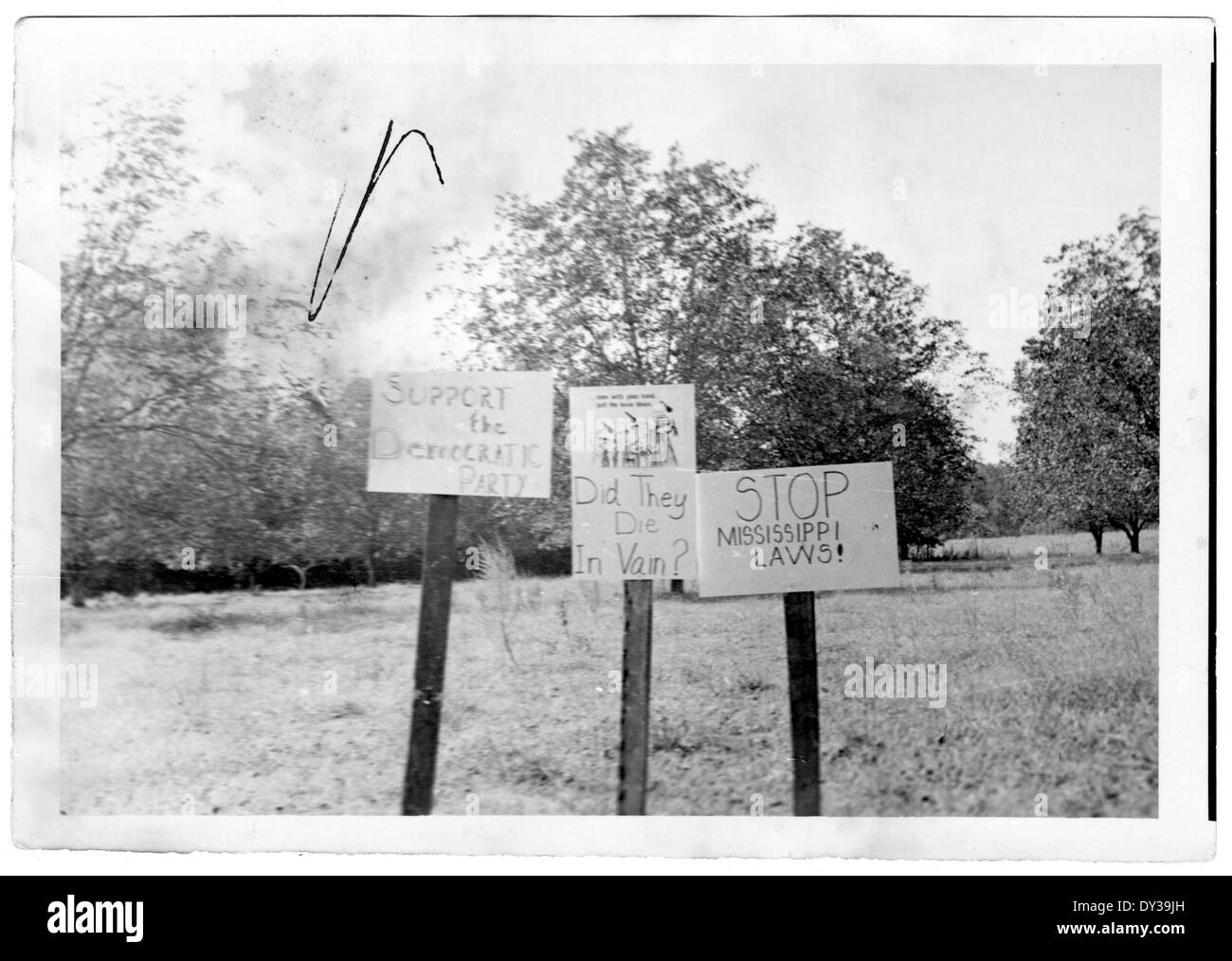 The Thomas Foner Freedom Summer papers document key materials from the ...
