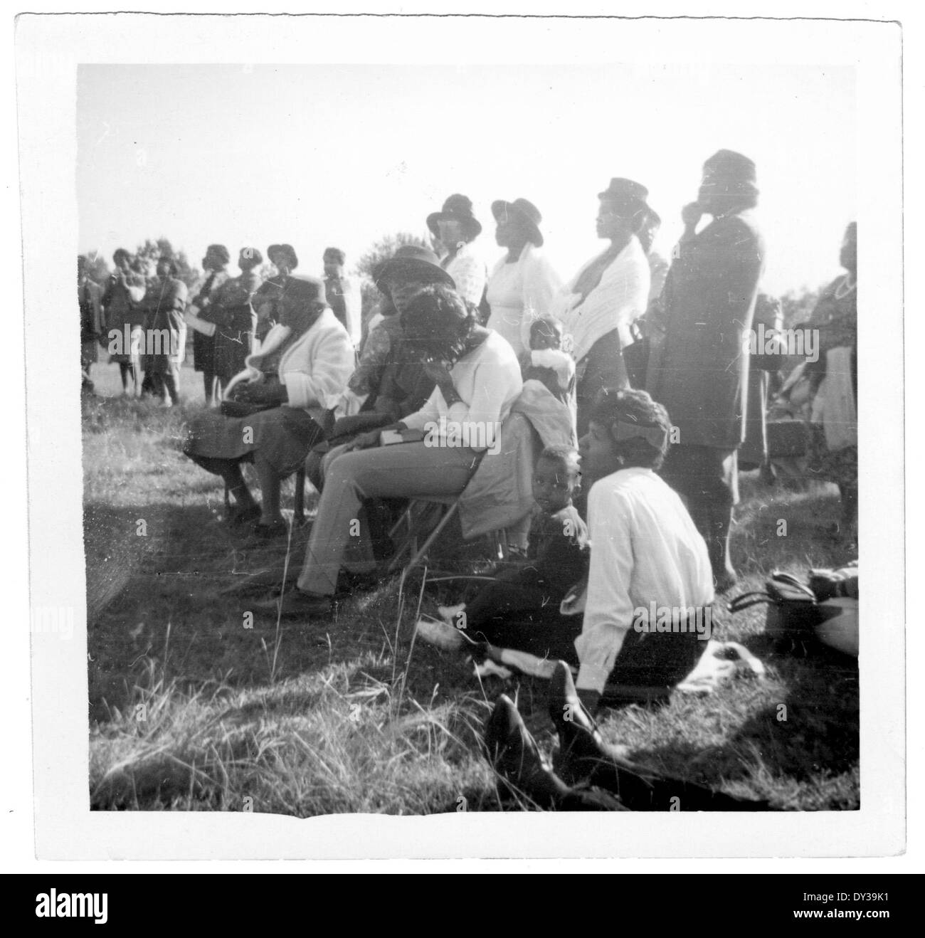 This image represents the Freedom Summer papers of Thomas Foner ...