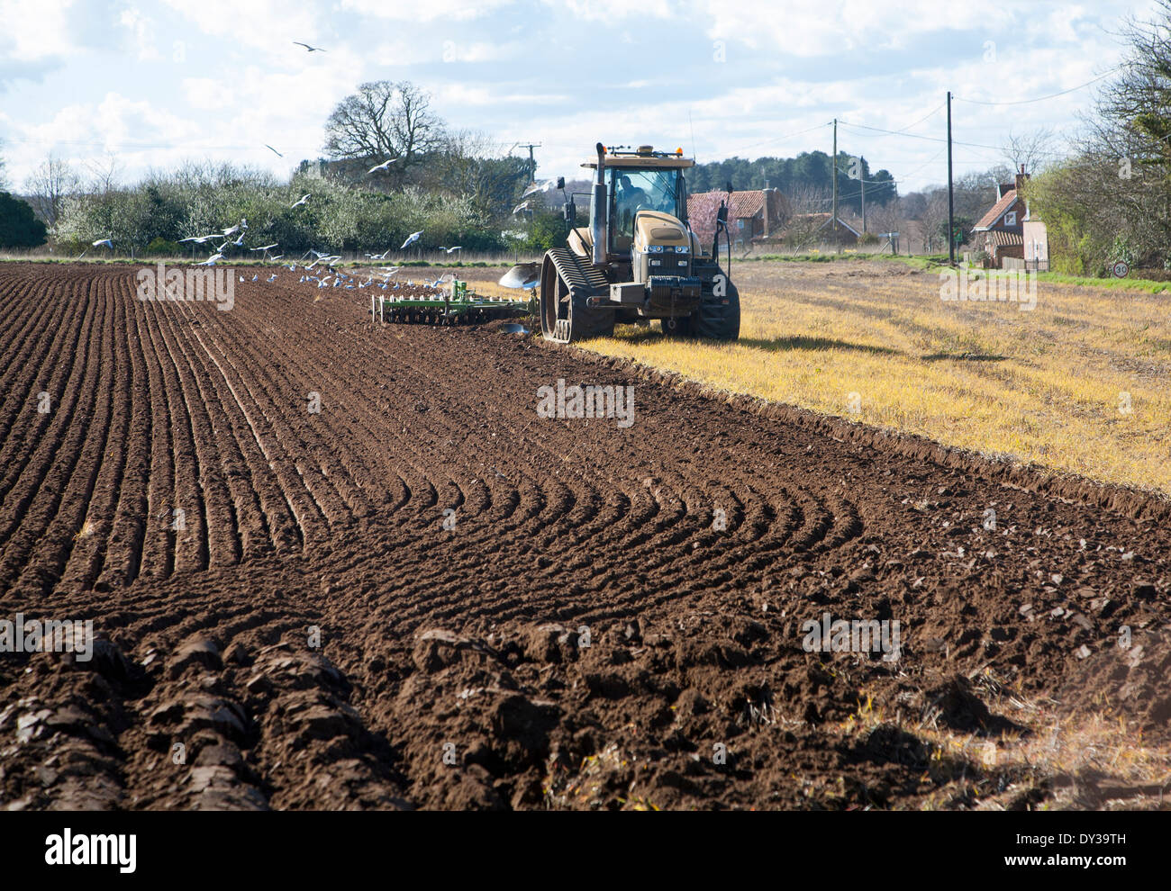 Challenger tracked tractor ploughing and pressing the soil in an arable ...