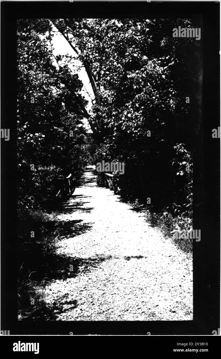 Overton Park view - bridle path Stock Photo - Alamy