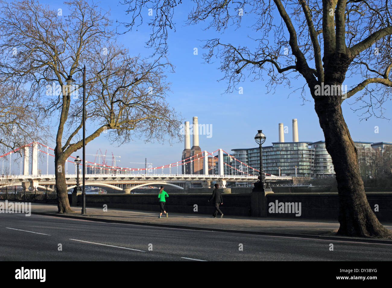 View of Chelsea Bridge and Battersea Power Station from Chelsea ...