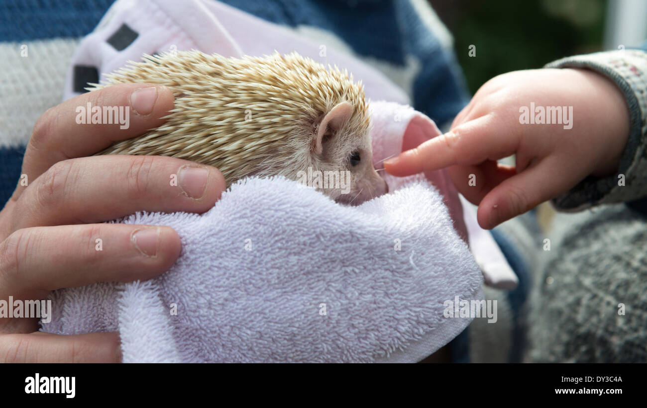 Shepreth cambridgeshire hi-res stock photography and images - Alamy