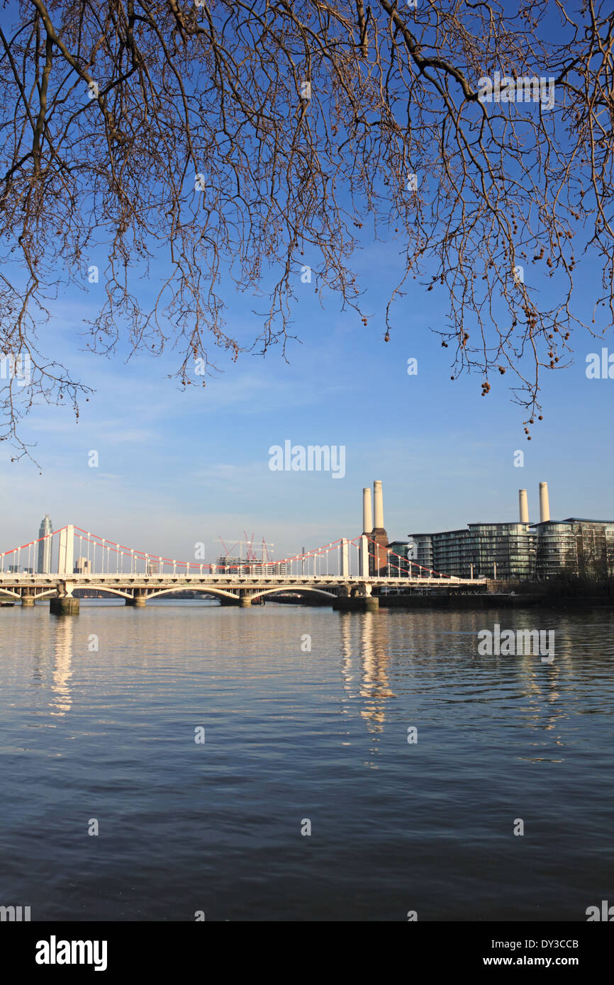 View of Chelsea Bridge and Battersea Power Station from Chelsea ...