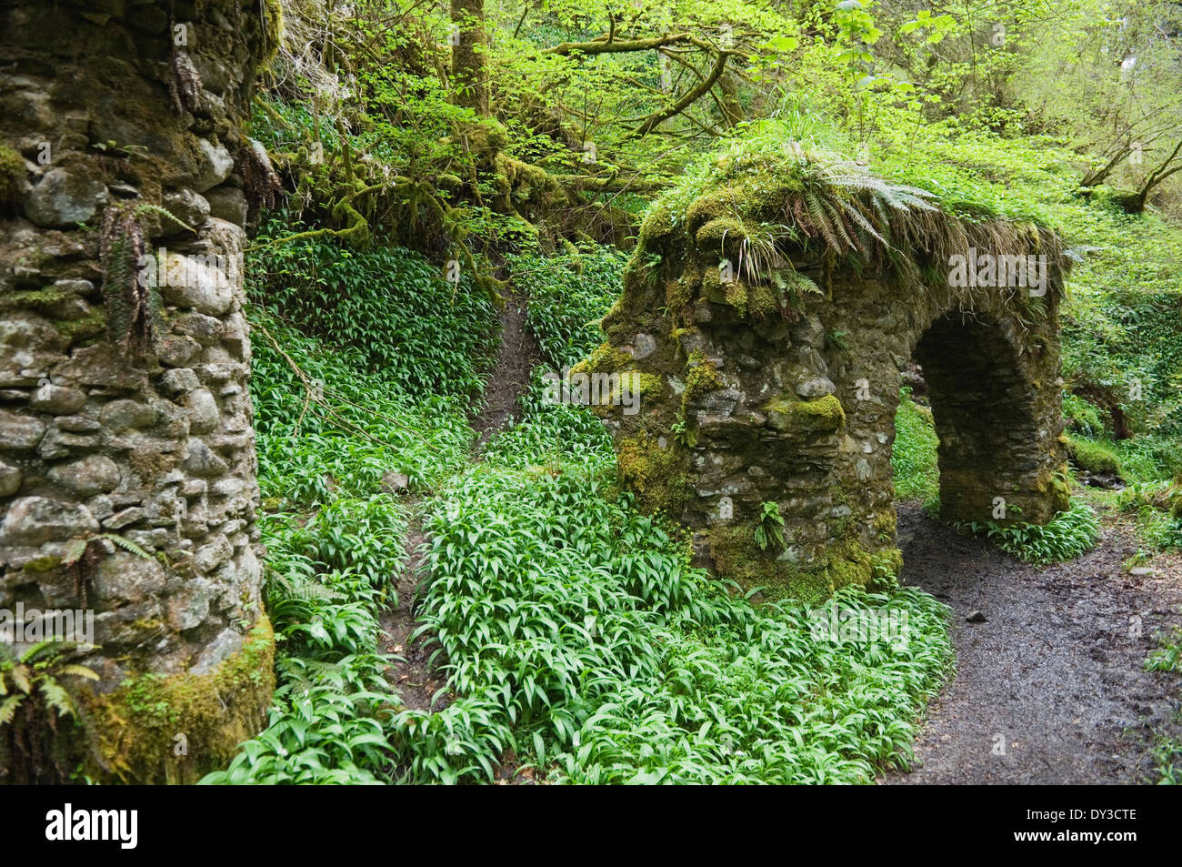 Stone folly in Reelig Glen, Moniack, Inverness-shire, Scotland Stock ...