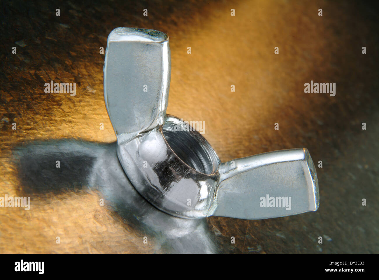 Wingnut hi-res stock photography and images - Alamy