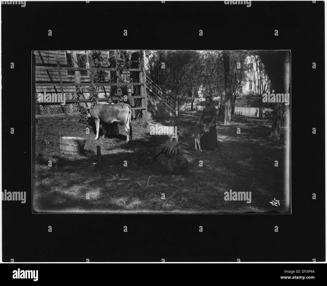 Side yard garden Black and White Stock Photos & Images - Alamy