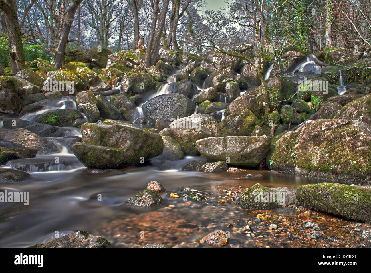 Becky Falls Woodland Park And Nature Trail, ( Becka Falls), Manaton ...