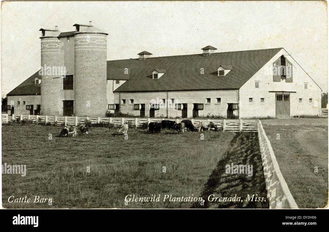 This postcard shows the cattle barn at Glenwild Plantation in Grenada ...
