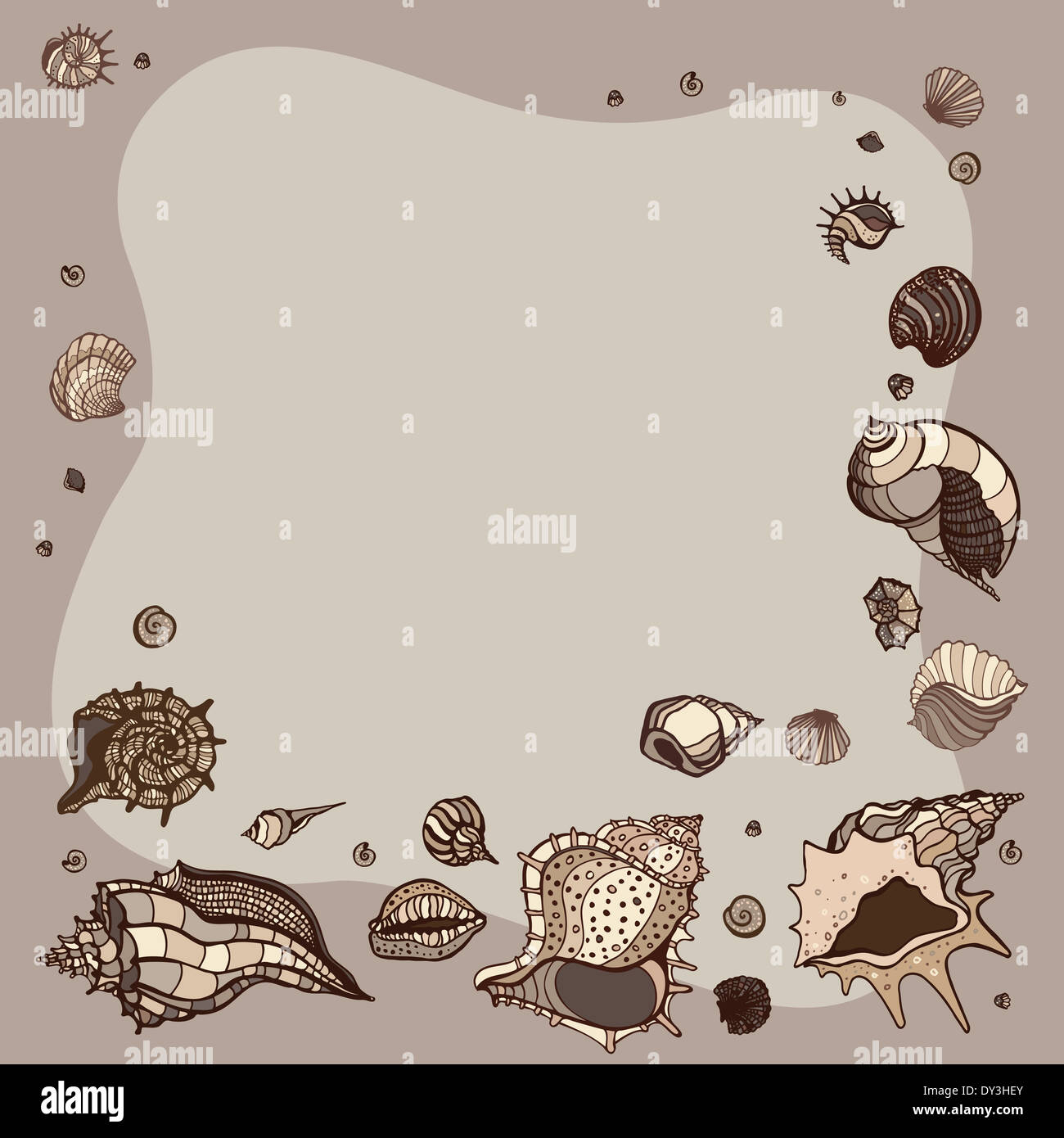 Frame of seashells. Summer background. Vector illustration Stock Photo ...