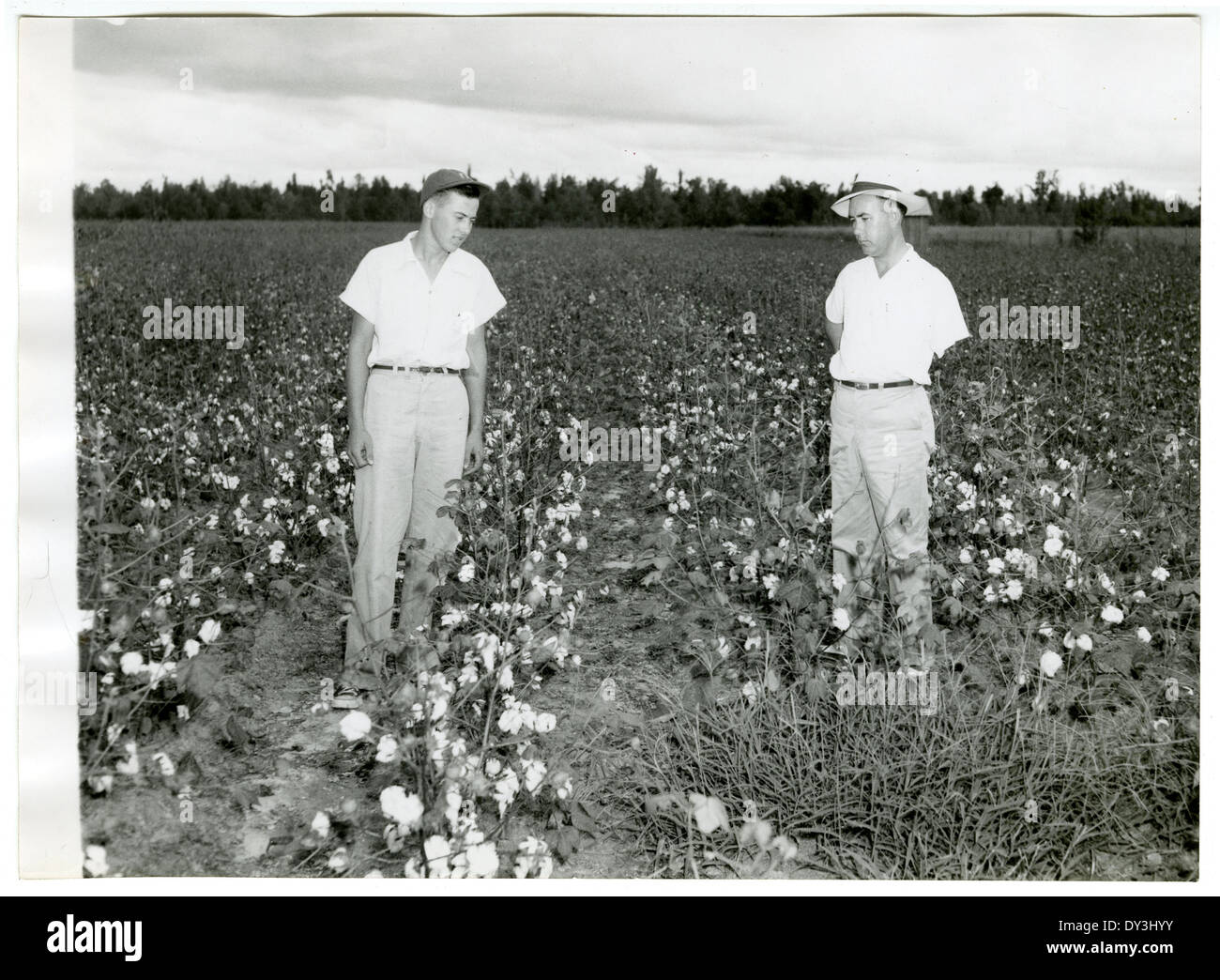 This photograph shows the Coop Farmers of McCool, Attala County ...