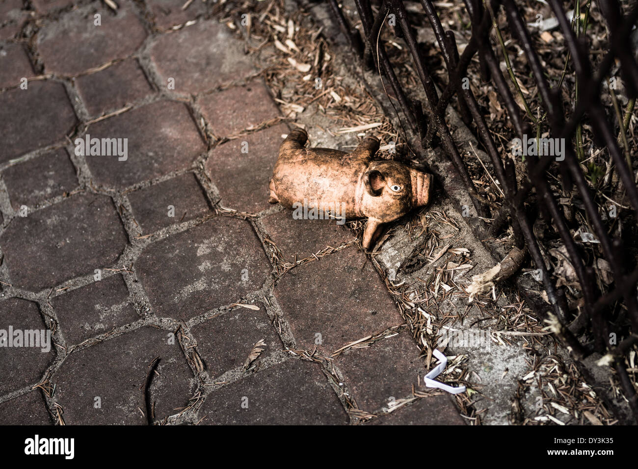 Animal slavery hi-res stock photography and images - Alamy