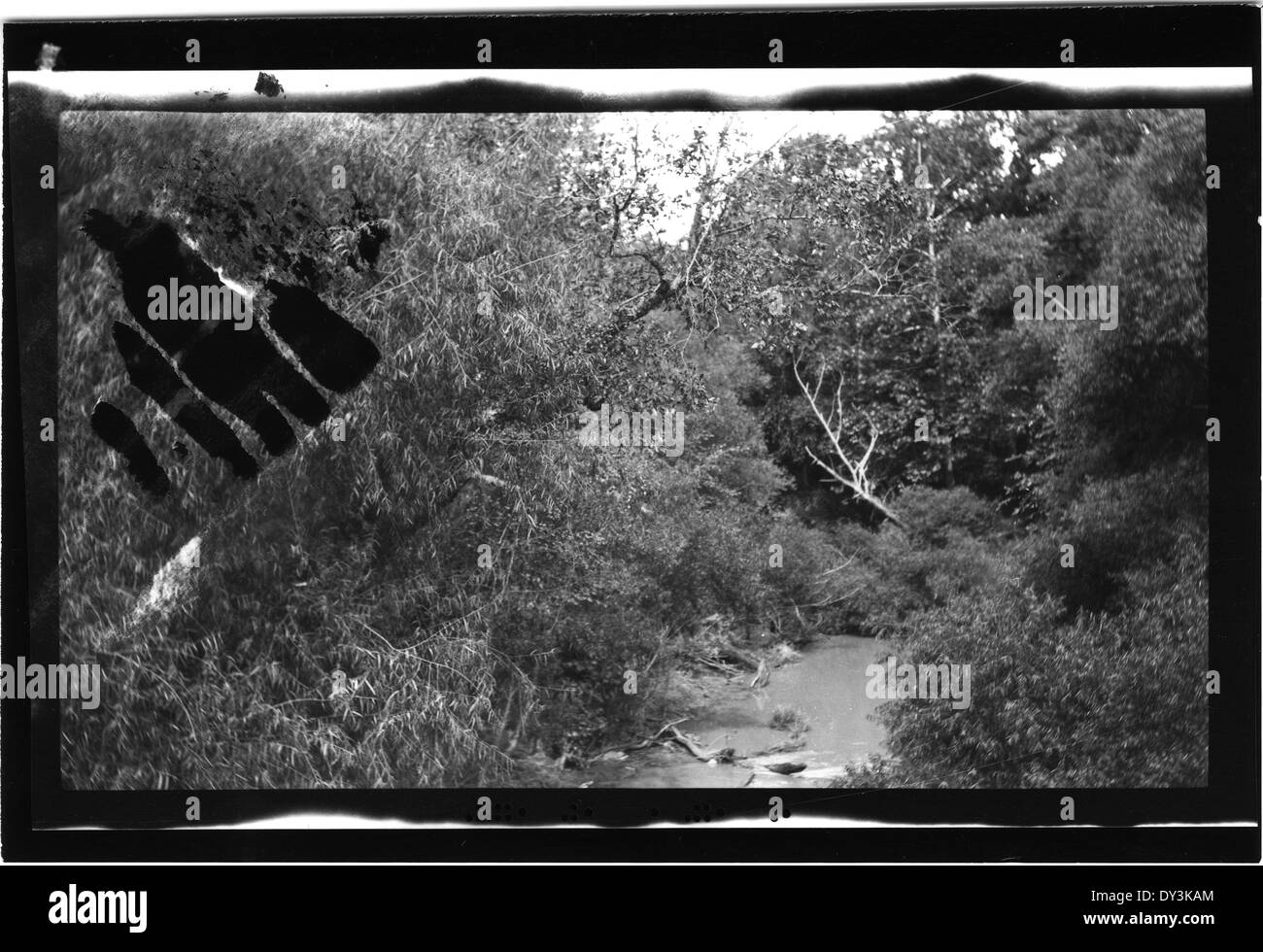 Hatchie river hi-res stock photography and images - Alamy