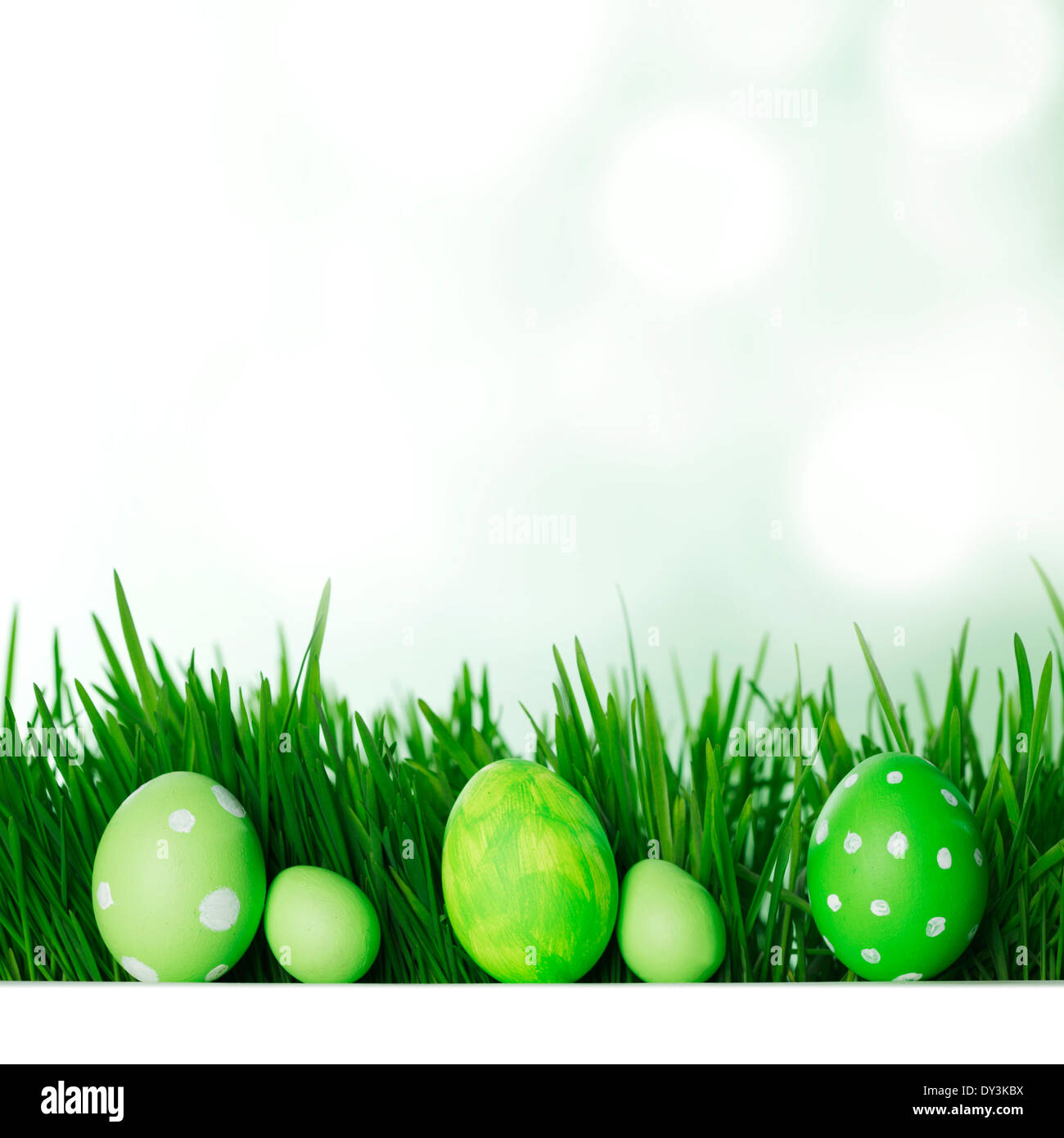 Row of Easter eggs in Fresh Green Grass Stock Photo - Alamy