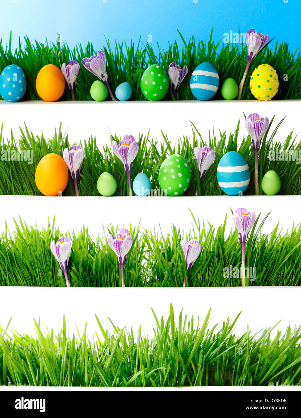 Row of Easter eggs in Fresh Green Grass Stock Photo - Alamy