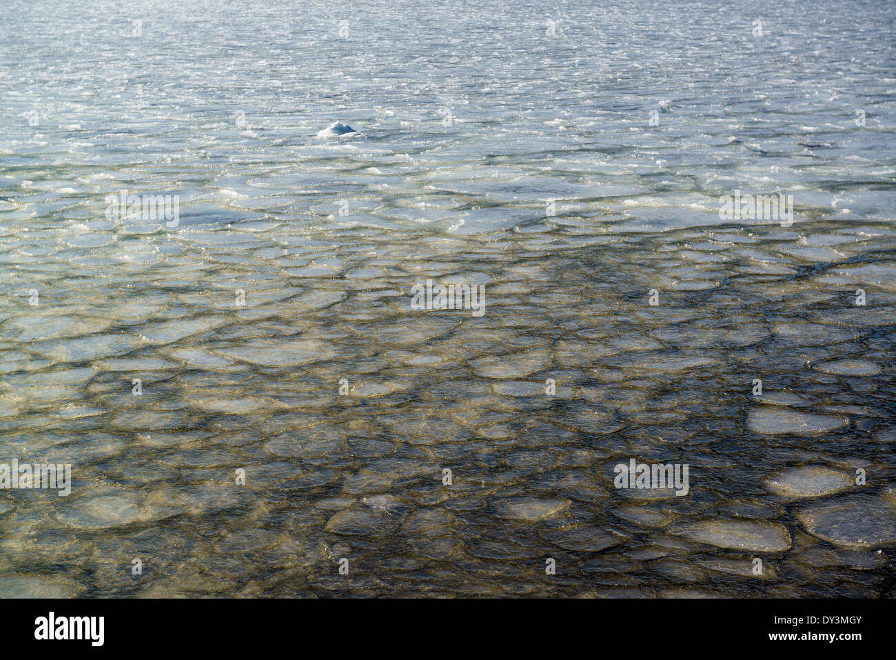 Pancake ice background Stock Photo - Alamy