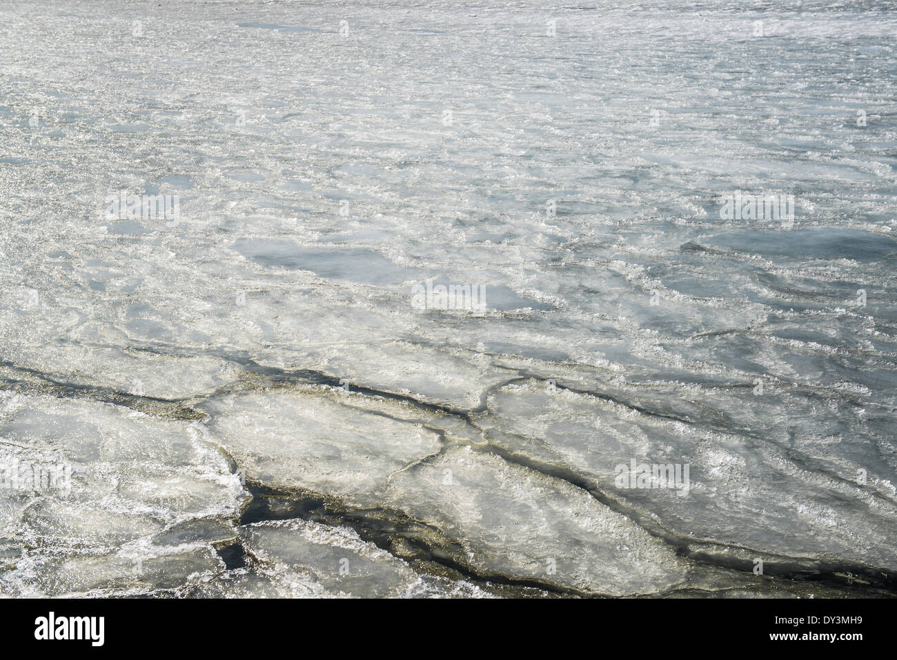 Pancake ice background Stock Photo - Alamy