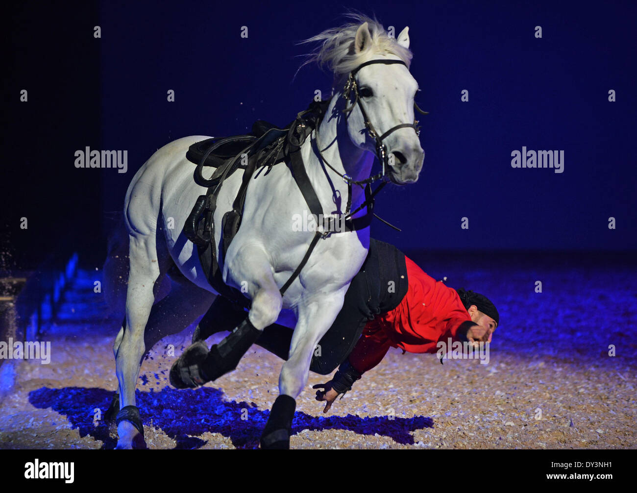 Equestrian stunt hi-res stock photography and images - Alamy