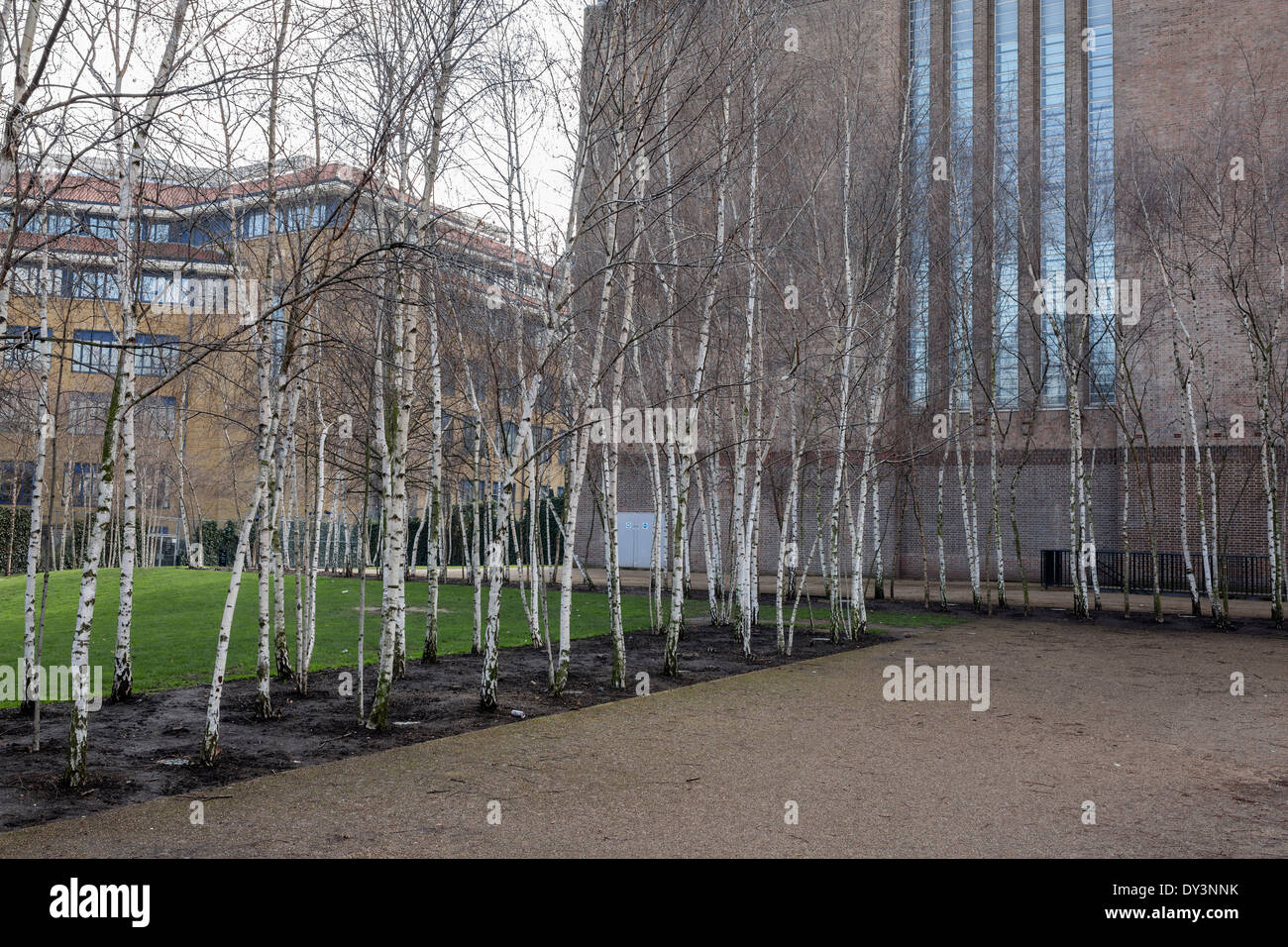 Tate modern trees hi-res stock photography and images - Alamy