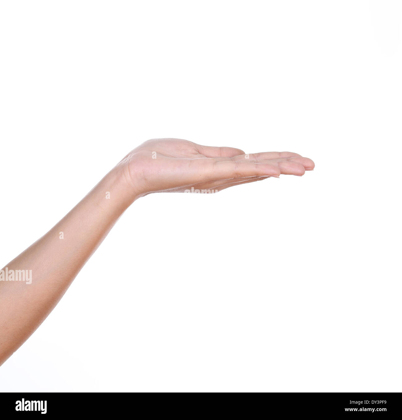 Empty open hand isolated on white background Stock Photo - Alamy