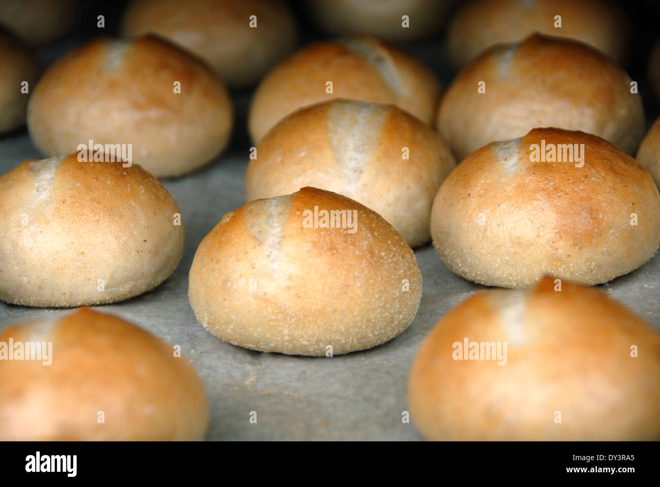Fresh baked buns are lined up on a bakery shelf Stock Photo - Alamy