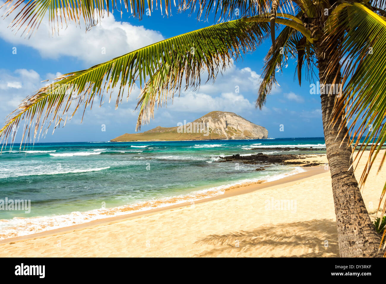 Manana Island, commonly known as Rabbit Island, off the Windward Coast ...
