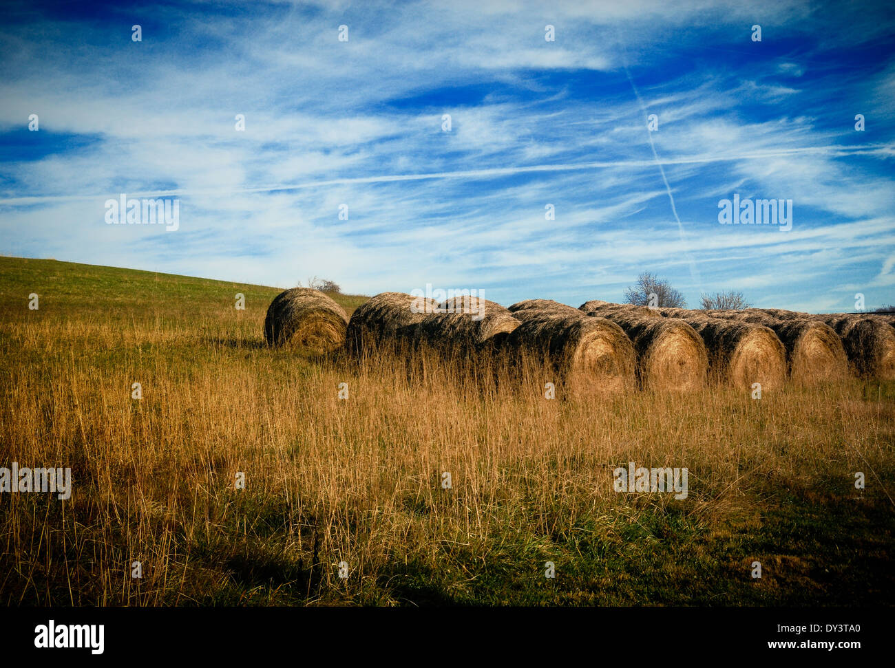 Hay bales are lined up in a row in an open field beneath a sky filled ...