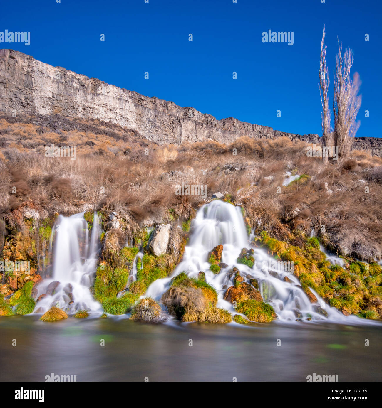 Thousand Springs Idaho waterfall and tree Stock Photo - Alamy