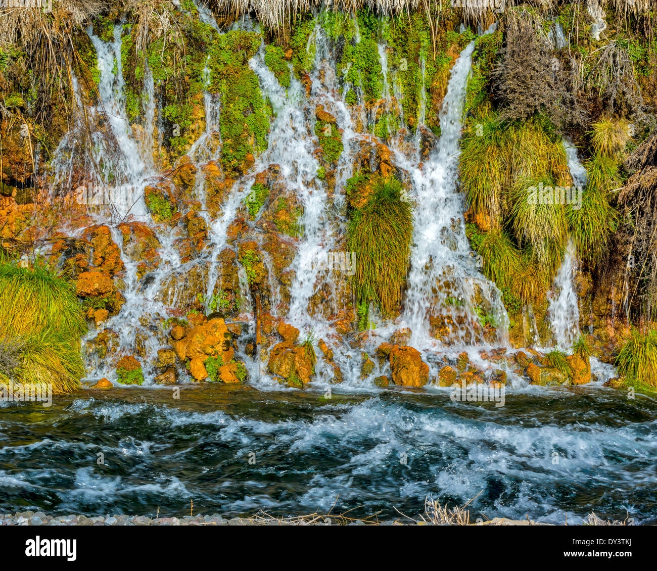 Small spring flows into a stream Stock Photo - Alamy