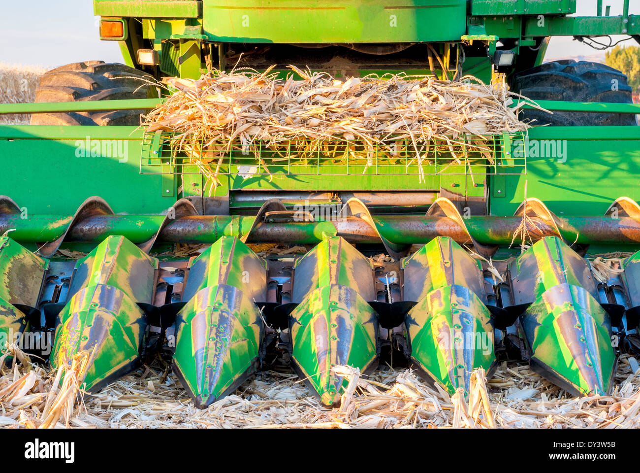 Combine hi-res stock photography and images - Alamy