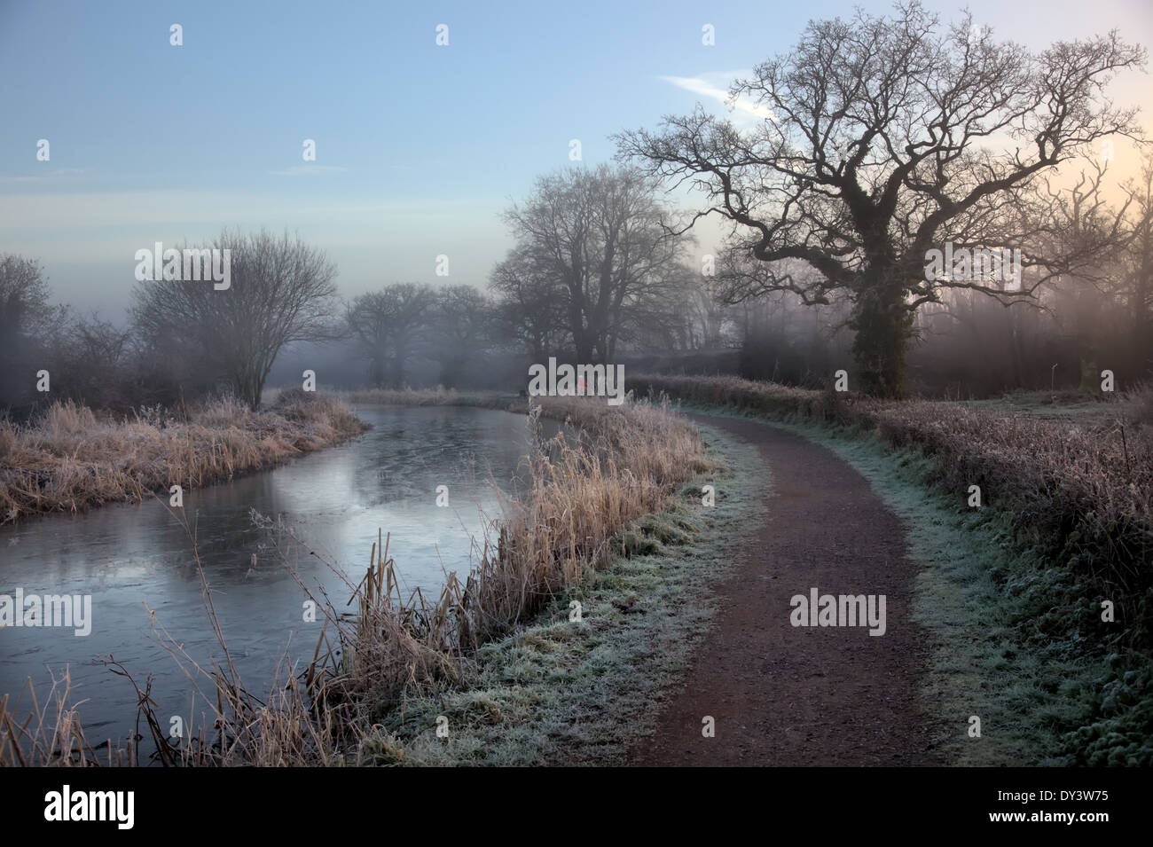 Sunrise on a frosty January early morning on the Grand Western Canal ...
