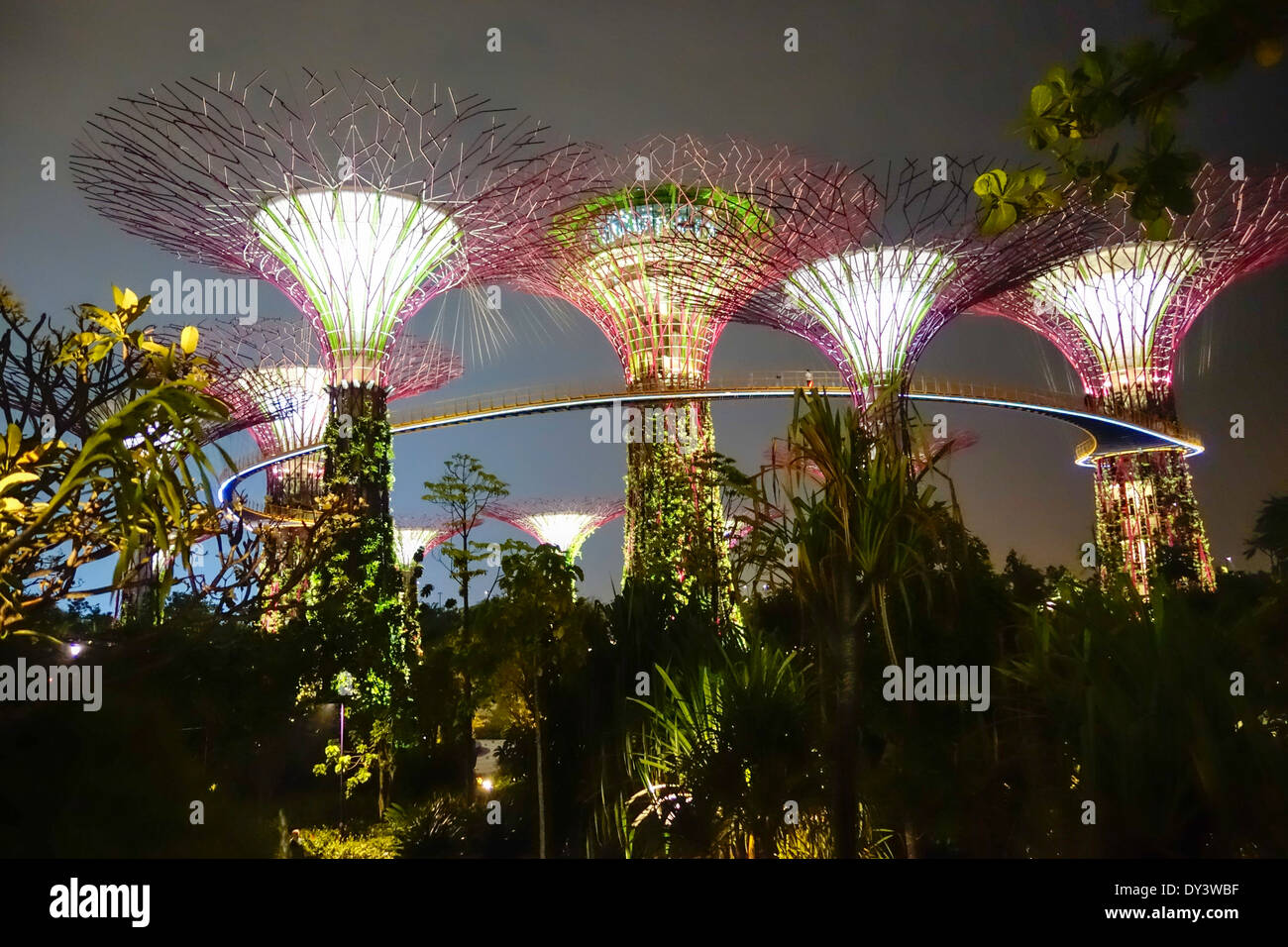 Gardens and supertrees hi-res stock photography and images - Alamy