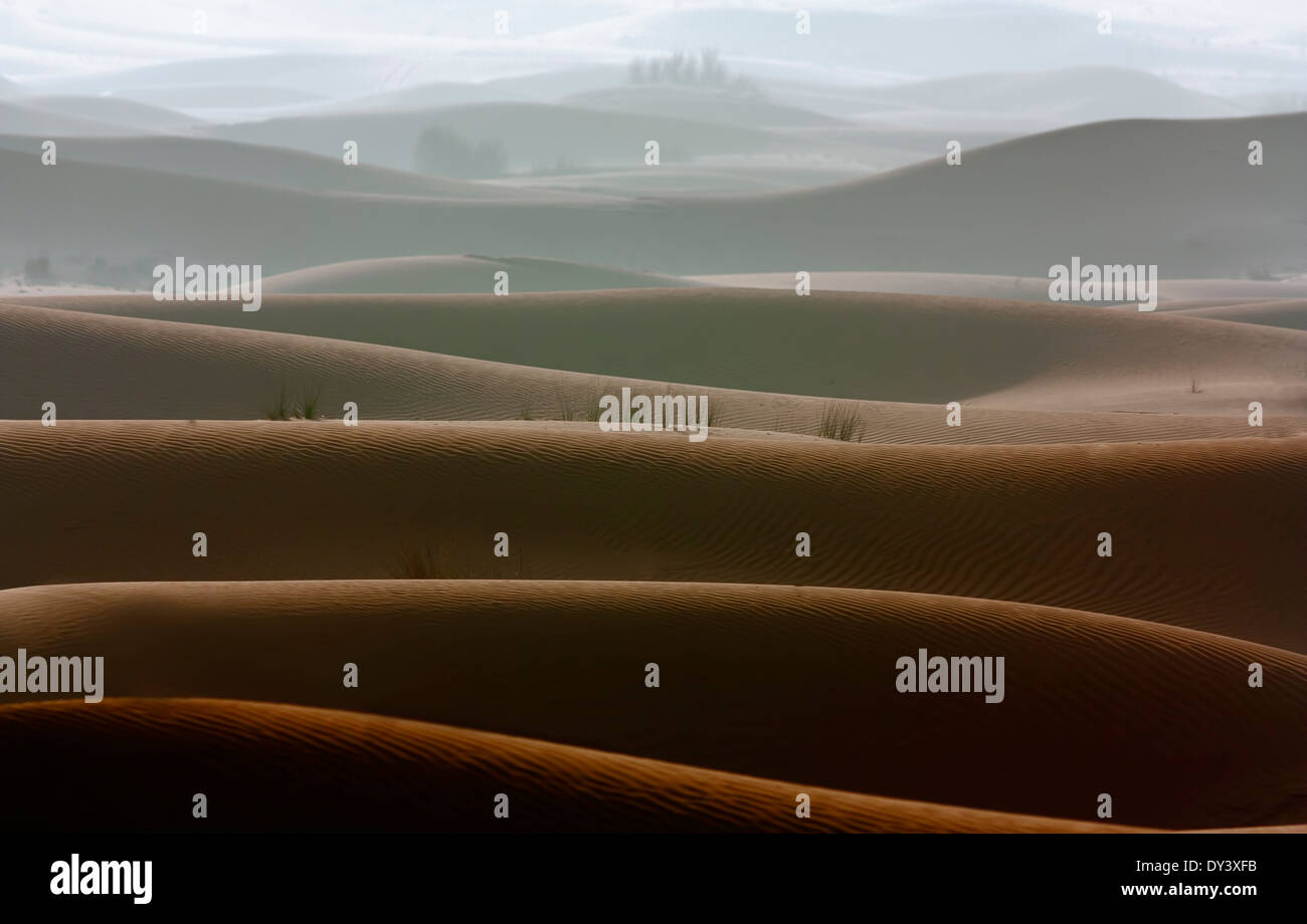 Fog in the desert hi-res stock photography and images - Alamy