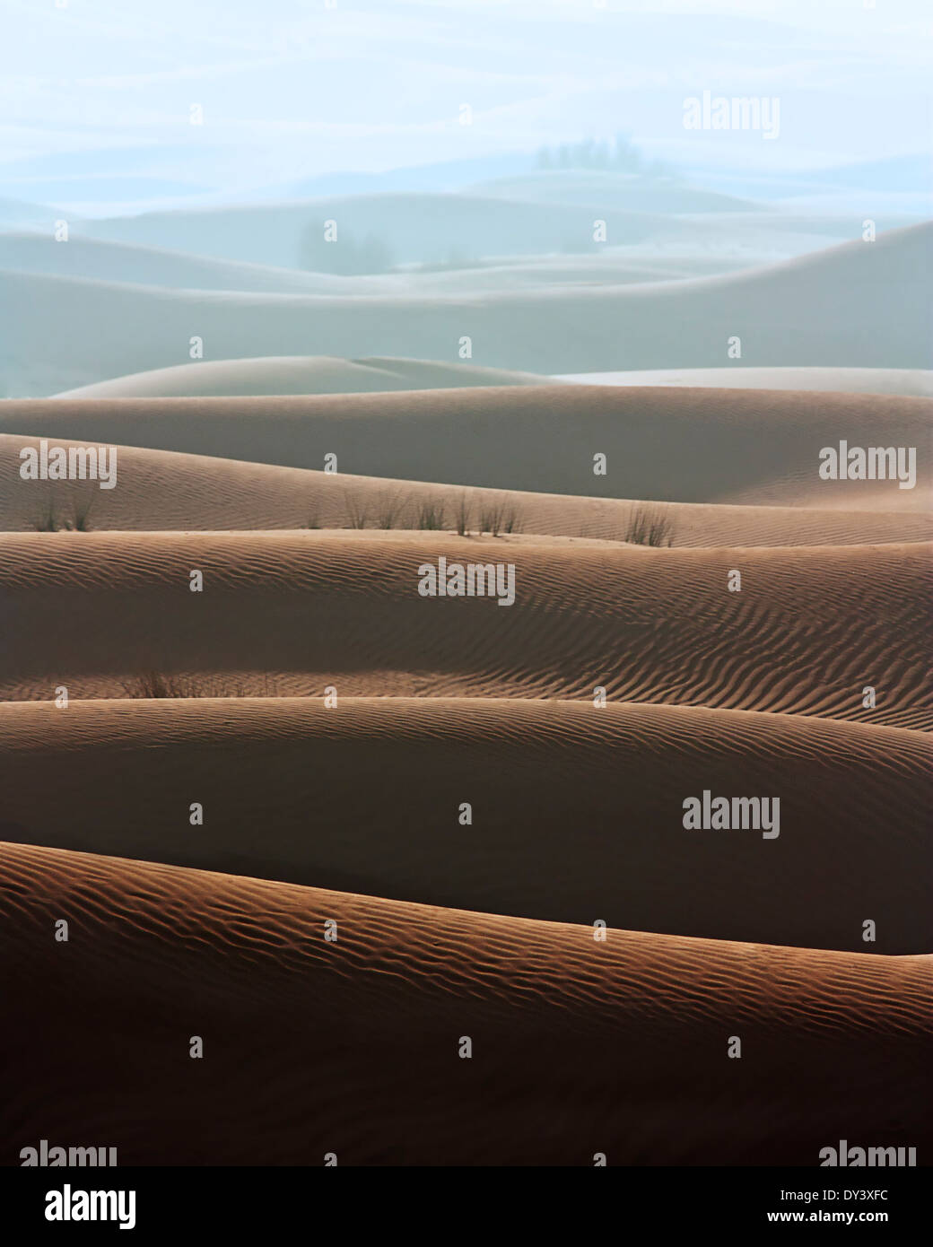 Fog in Dubai desert Stock Photo - Alamy