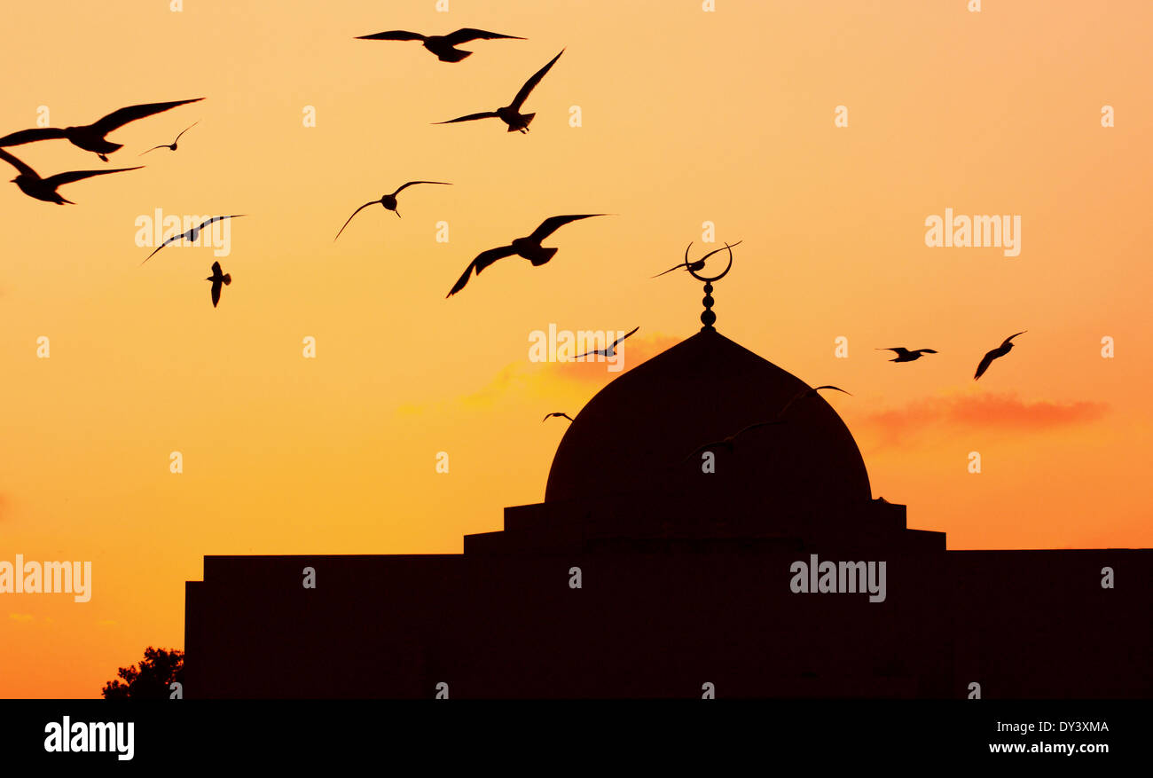 Mosque in the evening birds flying Stock Photo - Alamy
