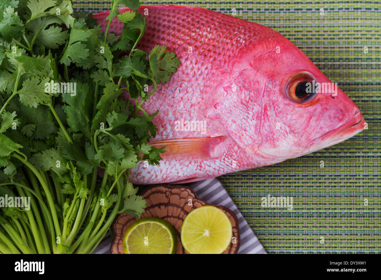 Mangrove snapper hi-res stock photography and images - Alamy