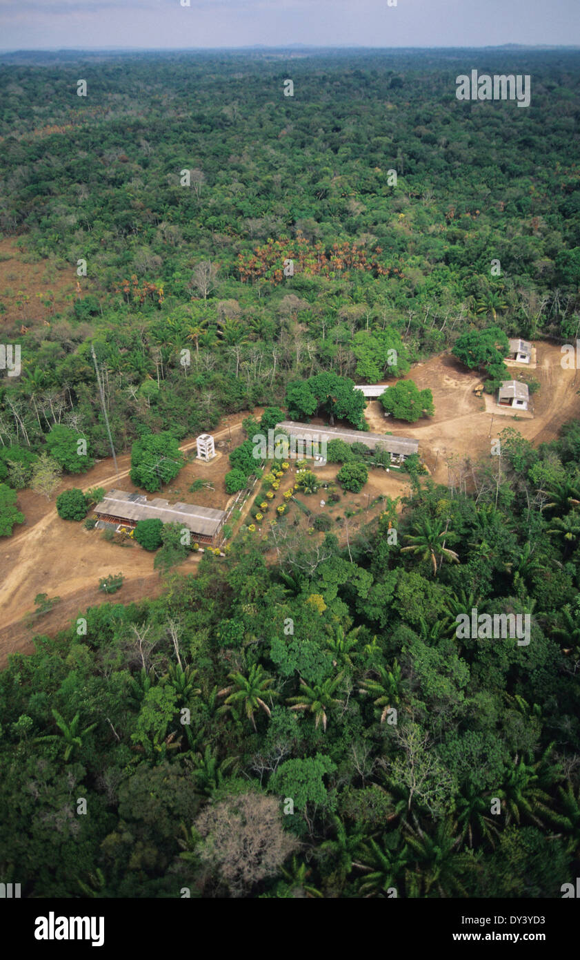 New urban development in what was previously primary rainforest habitat ...