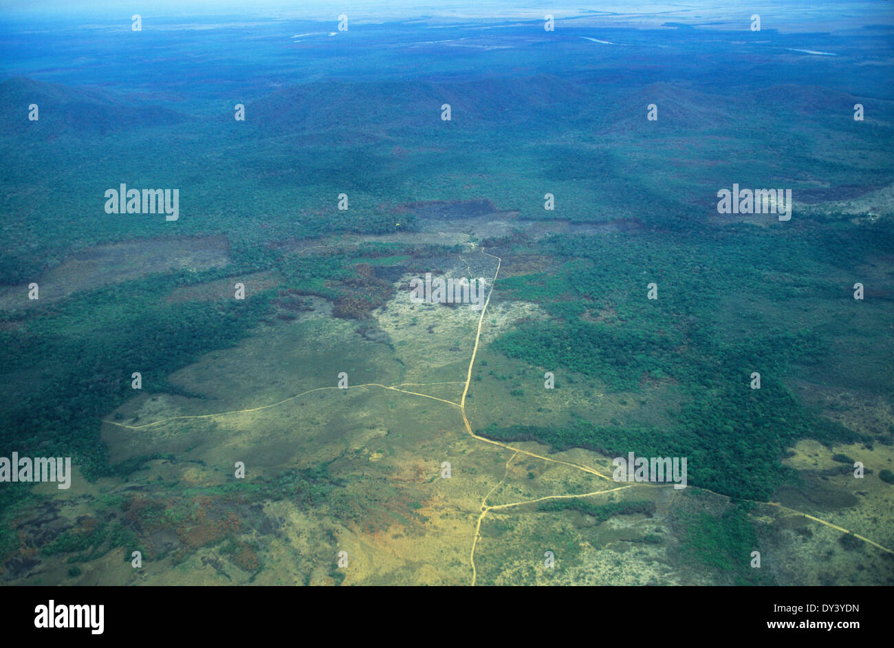 Agriculture and rural development encroaching on primary rainforest ...
